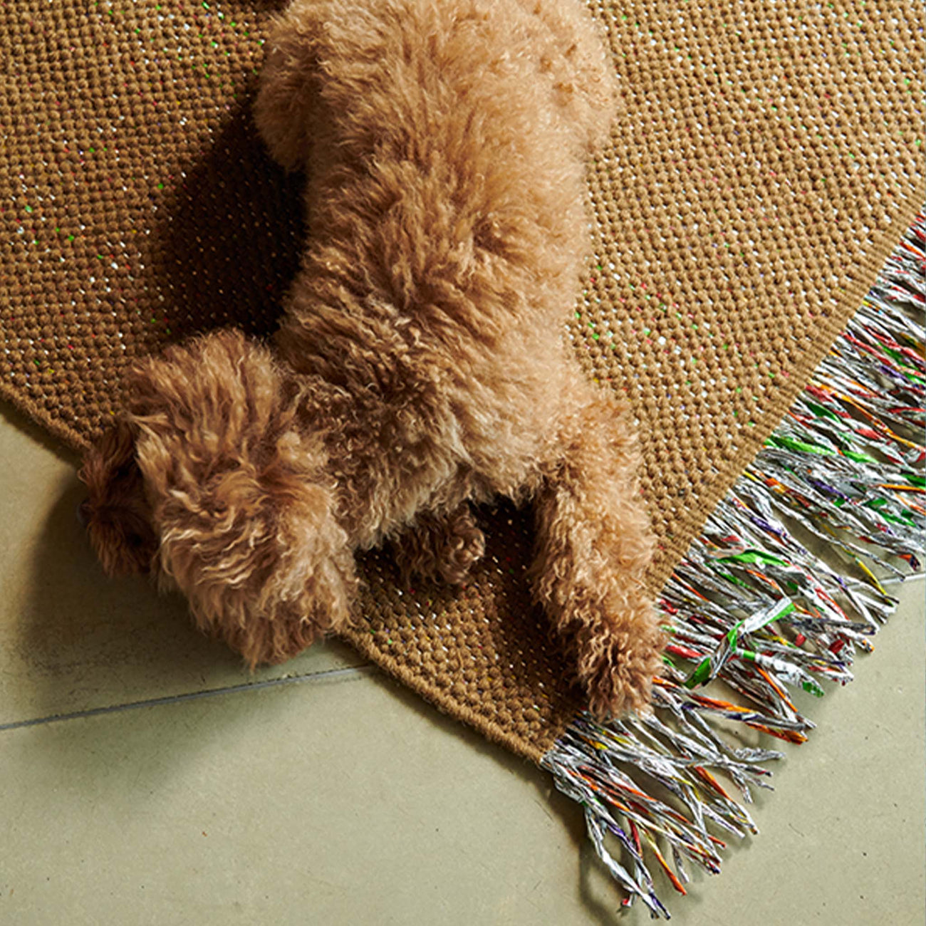 Candy Wrapper Rug_Edition